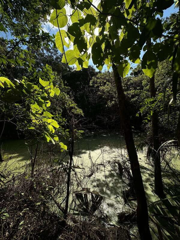 First tour schedule at San Rancho San Manuel - FAQ