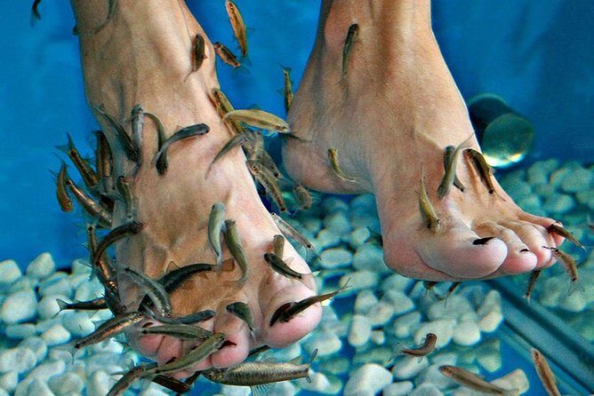 Fish Spa, Beach Break with Lounge Chairs, Umbrellas & Beach Area - Overview of the Experience