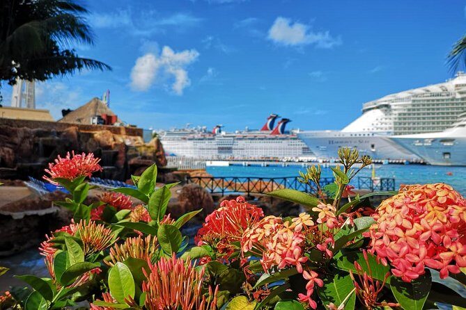 Fish Spa, Beach Break with Lounge Chairs, Umbrellas & Beach Area - Pricing and Overall Value