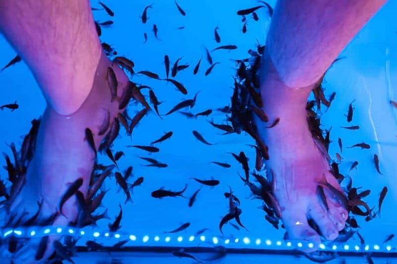 Fish Spa Experience Playa Fañabe - Who Will Love This Experience?