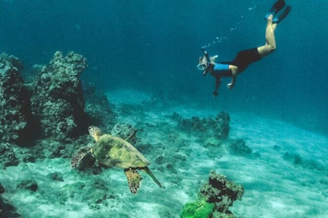 Fishing Charter and Tours - A Closer Look at the Experience