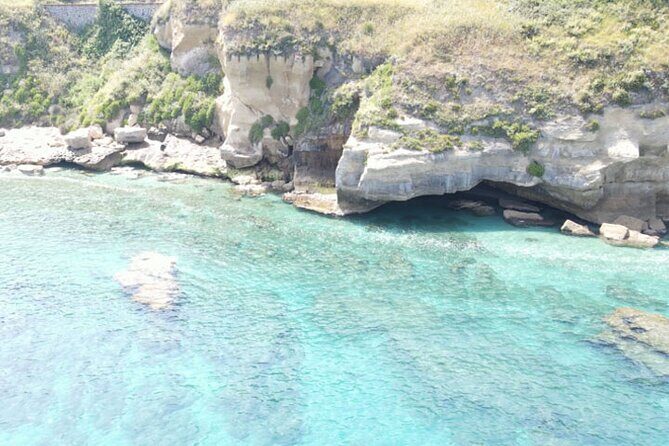 Fishing, Snorkelling & Dolphin Boat Tour - Detailed Breakdown of the Itinerary