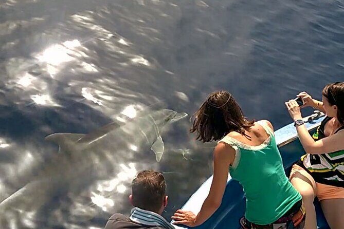 Fishing, Snorkelling & Dolphin Boat Tour - Practical Details and Tips