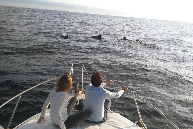 Fishing trip, Tenerife Sea Passion - Authenticity and Unique Details from Reviews