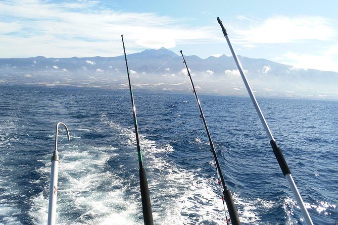 Fishing trip, Tenerife Sea Passion - The Value Proposition