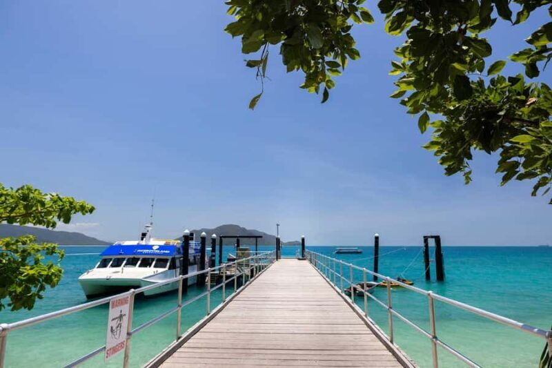 Fitzroy Island: Full-Day Ferry & Snorkel Safari Guided Tour - Snorkeling in the Coral Reef