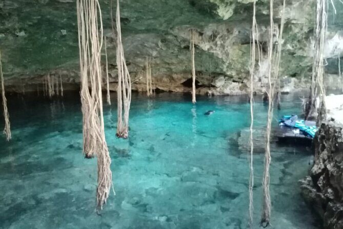 Five Cenotes Jungle Experience in the Riviera Maya - The Detailed Breakdown of the Tour