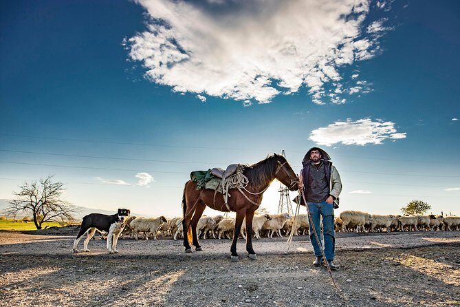 Five days tour to Khevsureti (Abudelauri lakes) & Kazbegi with hikes. - A Deep Dive into the 5-Day Khevsureti & Kazbegi Experience