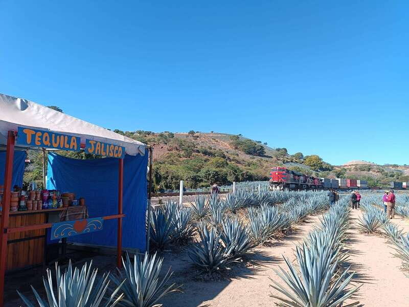 Five-star factory: Meet Orendain tequila. - The True Value of This Tour