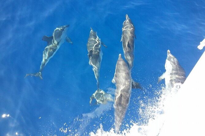 Five Star Relax Cruise Sailing Yacht Islands of La Maddalena - Introduction