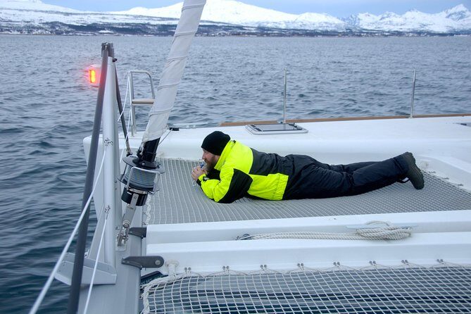 Fjord Cruise with Luxury Catamaran in Tromso - Final Thoughts: Who Should Book This Fjord Catamaran Experience?  