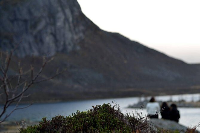 Fjord Expedition: Arctic Adventure Awaits - The Bottom Line