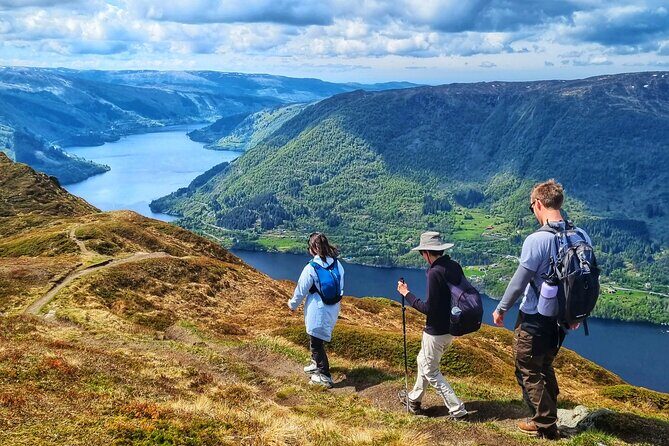 Fjord Hiking - Private tour - A Closer Look at the Fjord Hiking Private Tour