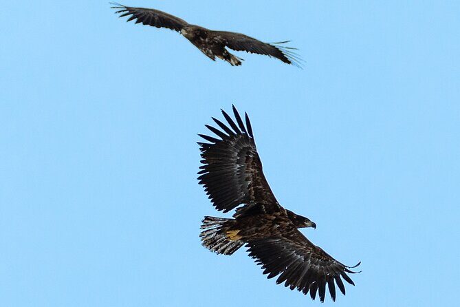 Fjord & History Cruise - A Detailed Look at the Fjord & History Cruise Experience