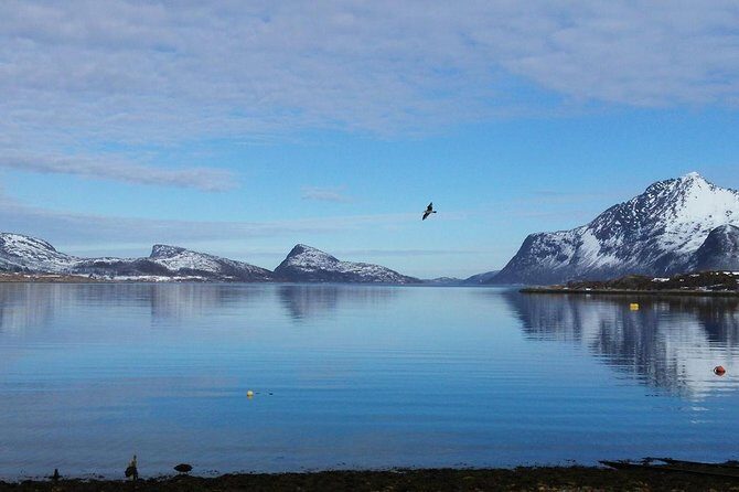 Fjord, Mountain and Wildlife Tour - What’s Included & What’s Not