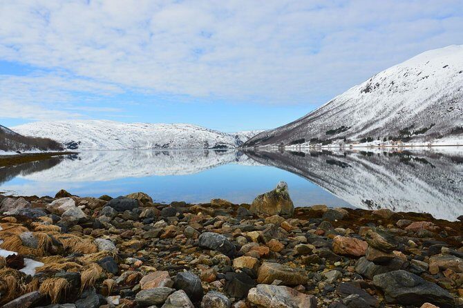 Fjord, Mountain and Wildlife Tour - Group Size & Logistics