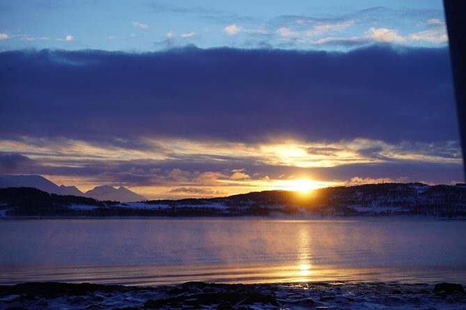 Fjord, Mountain and Wildlife Tour - How Does It Compare to Other Tours?