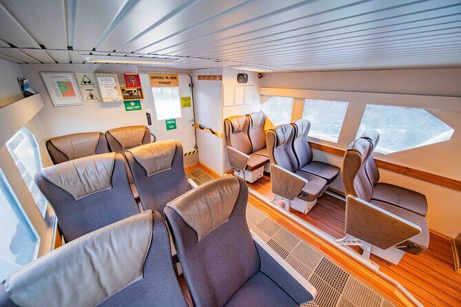 Fjord Safari in the Altafjord - What Makes the Experience Special?