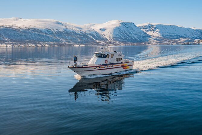 Fjord Safari in the Altafjord - Analyzing the Value