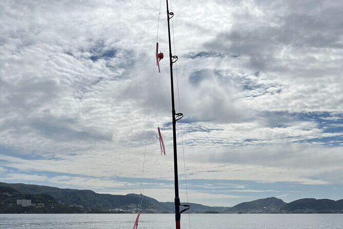 Fjord Sea Safari with Fishing from Bergen - Final Thoughts