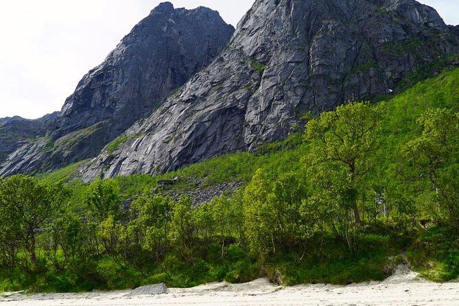 Fjord Sightseeing - Eco friendly Tesla Model X - The Sum Up