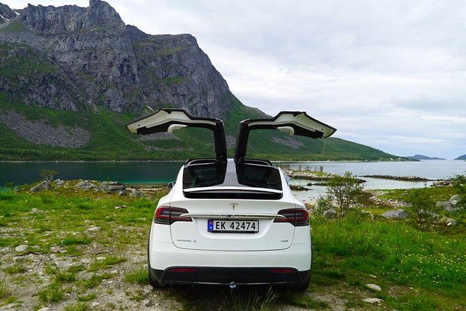 Fjord Sightseeing - Eco friendly Tesla Model X - Frequently Asked Questions