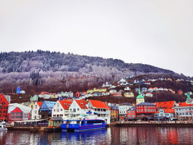 Flåm Flexible Tour with Stegastein, cruise and train include - Why This Tour is Worth Considering  