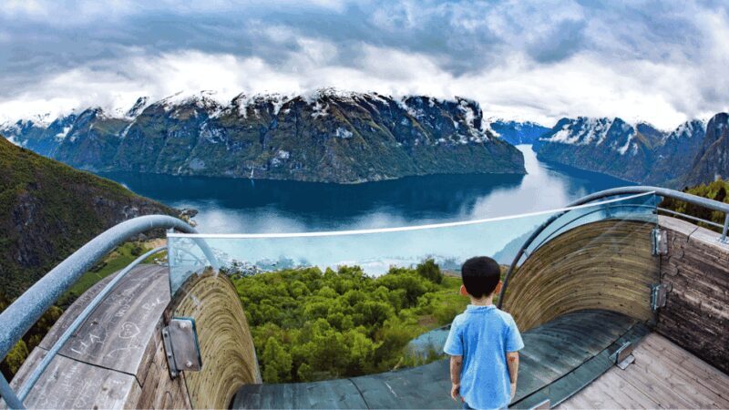 Flåm Flexible Tour with Stegastein, cruise and train include - Who This Tour Suits Best  