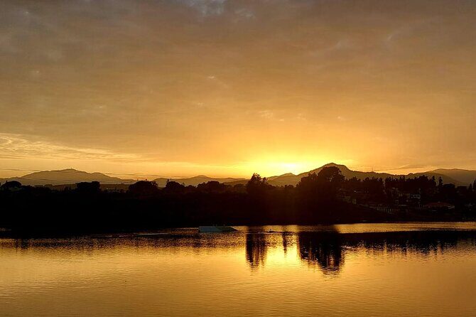 Flamenco and Outdoor Grill Evening (Guadalmina) - Who Would Love This Tour?