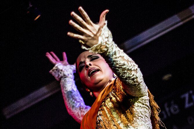 Flamenco Show at Café Ziryab: Madrid - Final Thoughts