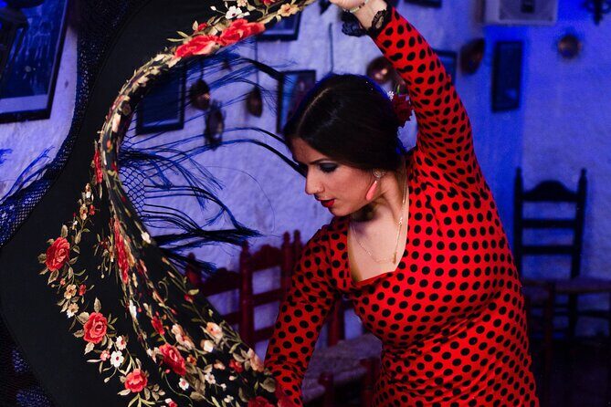 Flamenco Show in the Caves of Sacromonte - An In-Depth Look at the Flamenco Experience