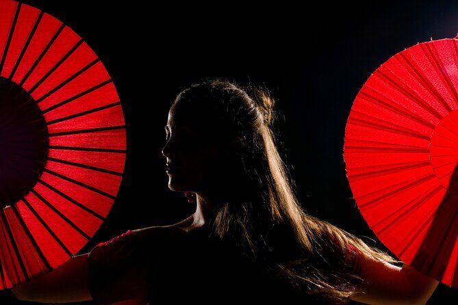 Flamenco show & tasting Tapas with panoramic views in Madrid - What’s Included and What’s Not