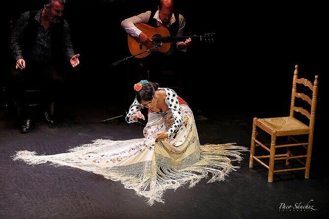 Flamenco Show Tickets to the Triana Flamenco Theater - The Performance: What to Expect