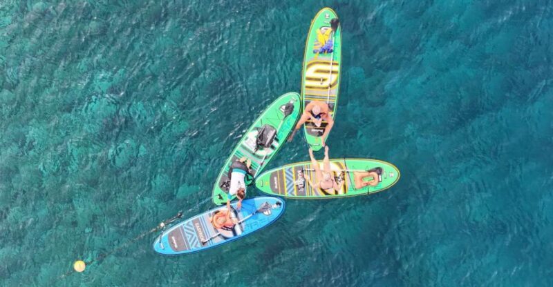 Flamingo Beach: Guided SUP and Snorkeling experience - Key Points