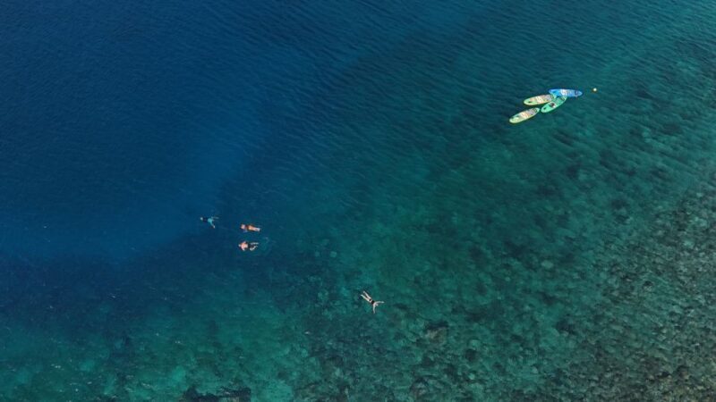 Flamingo Beach: Guided SUP and Snorkeling experience - Final Thoughts: Is It Worth It?