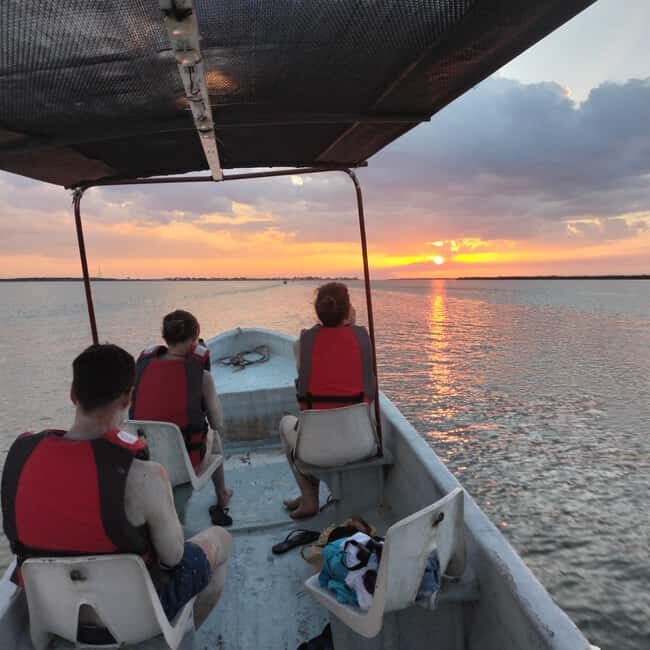 Flamingo tour Rio Lagartos, Yucatan 2 hours - Exploring Rio Lagartos: A 2-Hour Boat Tour of Yucatán’s Wildlife Sanctuary
