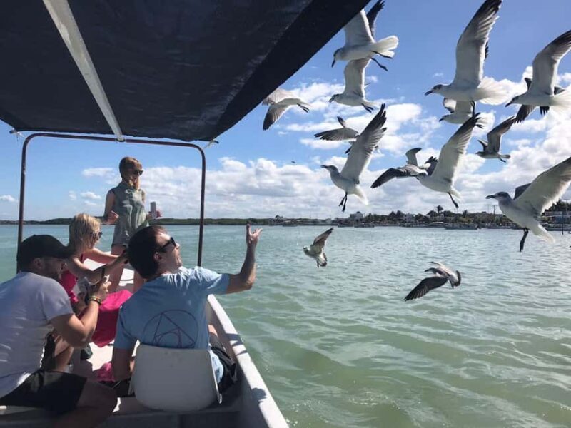 Flamingo tour Rio Lagartos, Yucatan 2 hours - Authentic Reviews & Insights