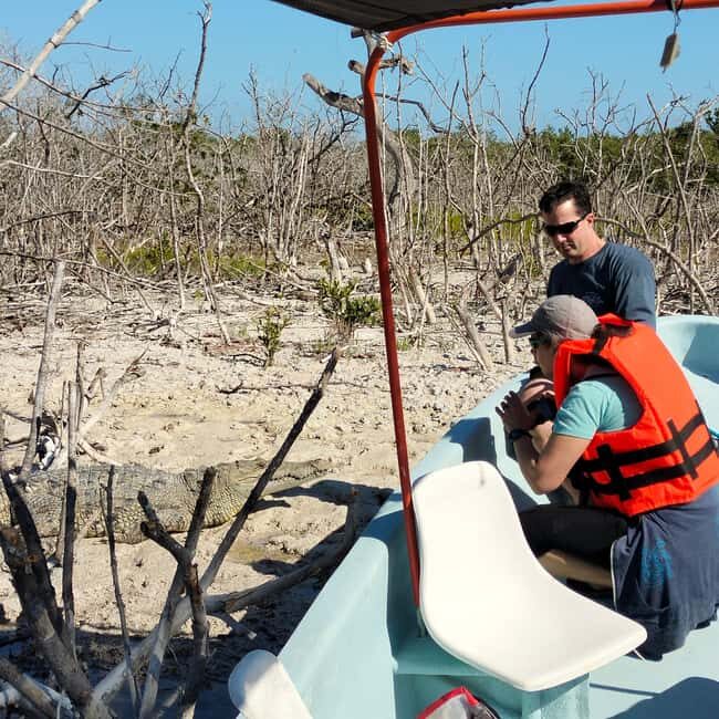 Flamingo tour Rio Lagartos, Yucatan 2 hours - Frequently Asked Questions