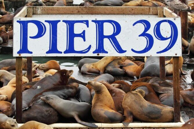 Flavors of Fisherman's Wharf: A Self Guided Audio Tour - A Detailed Look at the Itinerary and Highlights