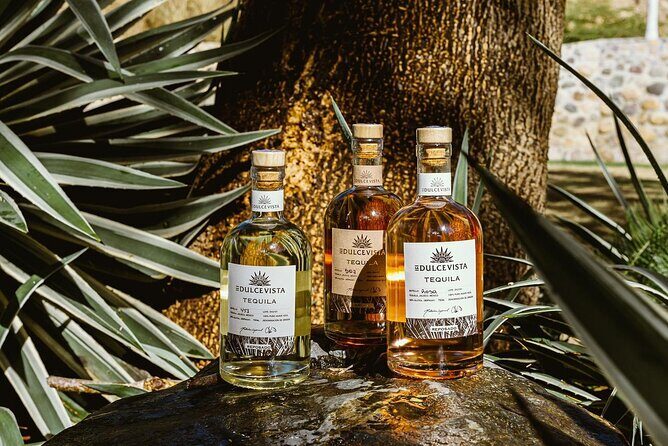 Flavors of Vallarta: A Churro, Tequila & Taco Adventure - Authentic Experiences Backed by Positive Reviews