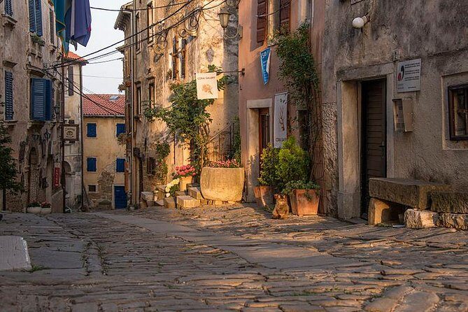 Flavours of Istria Tasting Experience from Trieste - Practical Considerations