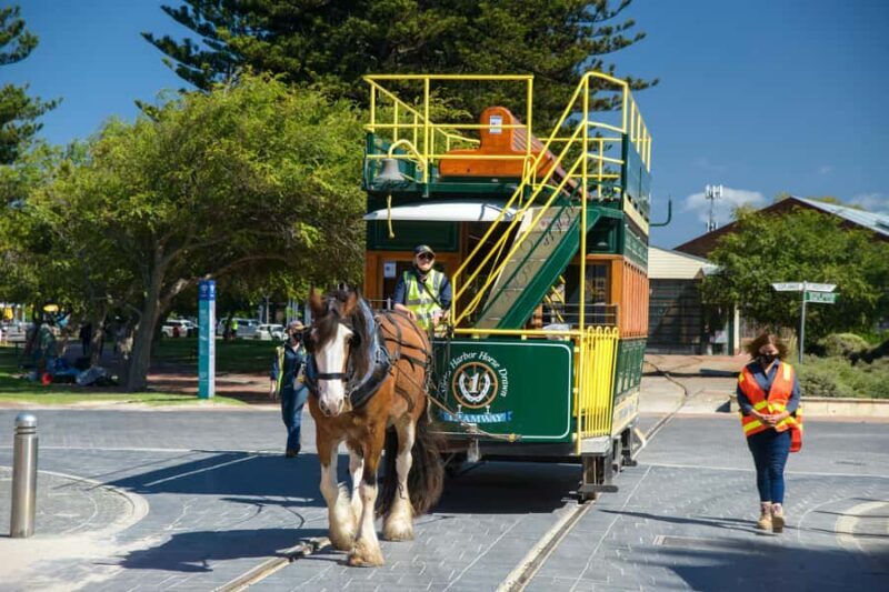 Fleurieu Peninsula: A Memorable Journey - An Overview of the Fleurieu Peninsula Tour