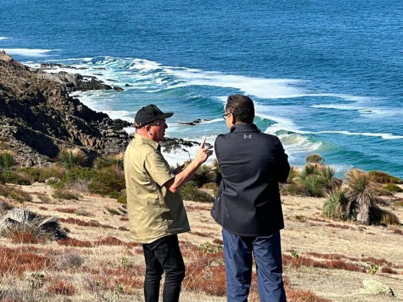 Fleurieu Peninsula: Bush to Bay Guided Tour with Boat Ride - Who Is This Tour Best For?