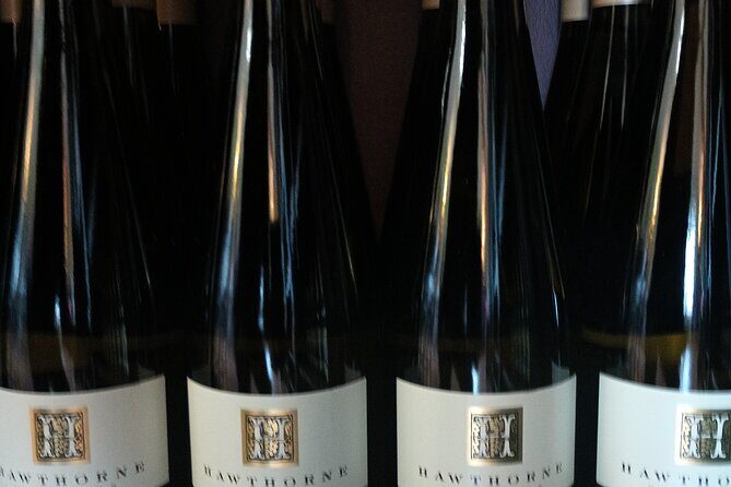 FLEXIBLE Go where you want NON-BUS Old Mission Wine Tour - Why This Tour Works Well