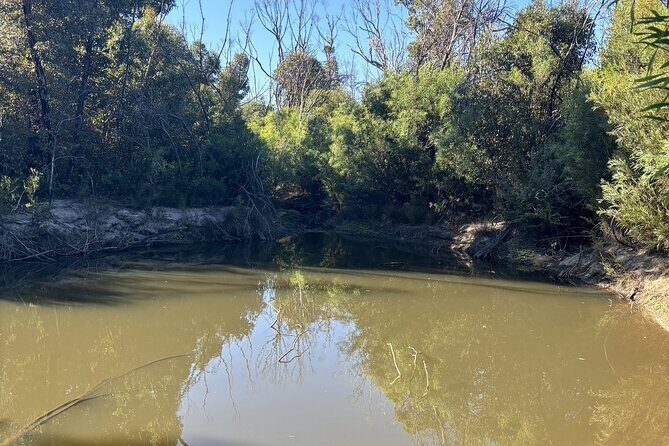 Flinders Chase Private Luxury Tour - Exploring Kangaroo Island in Style: The Flinders Chase Private Luxury Tour