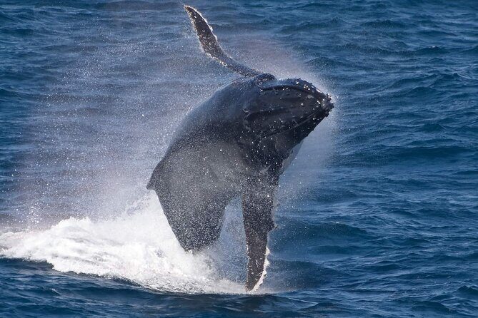 Flinders Chase Private Luxury Tour - Final Thoughts