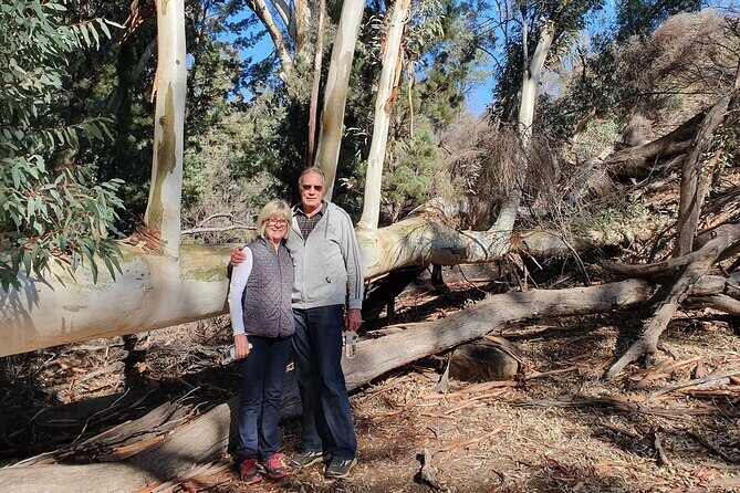 Flinders Ranges 5-Day Small Group 4WD Eco Tour from Adelaide - Final Thoughts