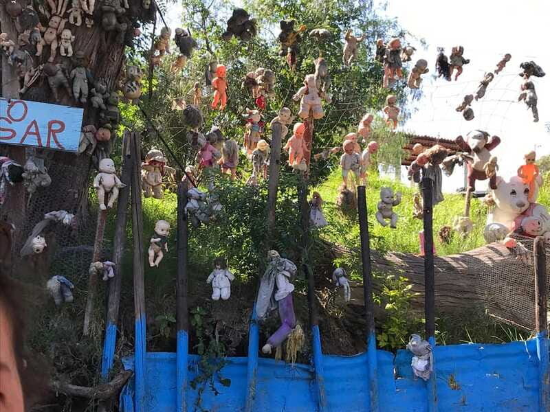 "Floating Party in Xochimilco: Canals, Tequila, and Tradition" - Value and Price Analysis