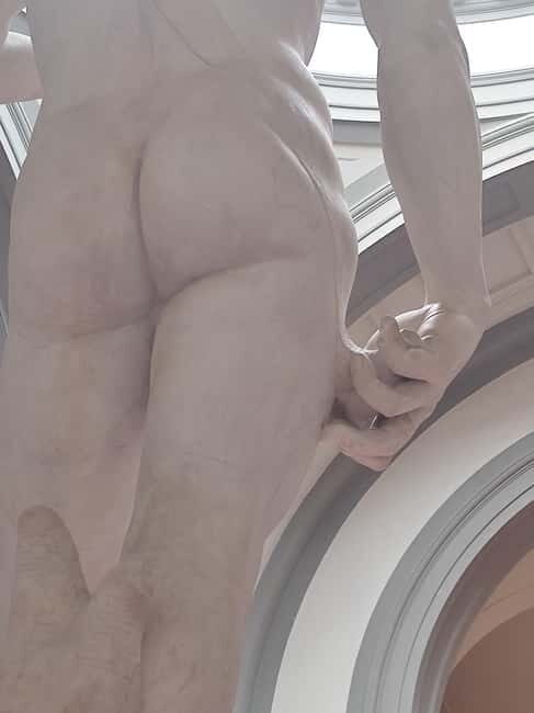 Florence: Accademia Gallery & Michelangelo's David Ticket - The Realities of the Experience: Pros and Cons