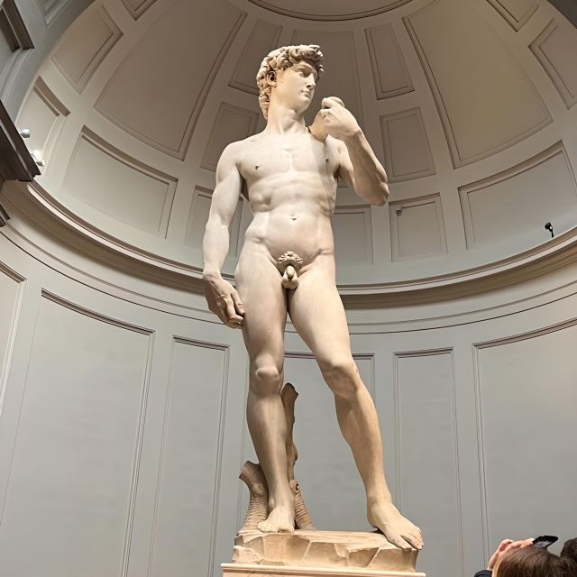 Florence: Accademia Reserved Ticket & Michelangelo's David - What to Expect When Visiting the Accademia Gallery
